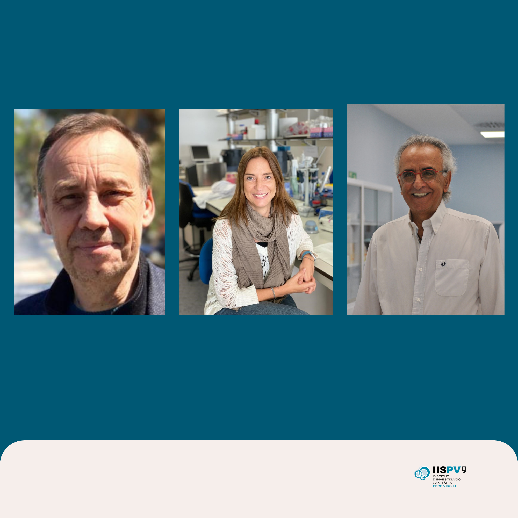 Descubren nuevas funciones del succinato al identificarlo como ...